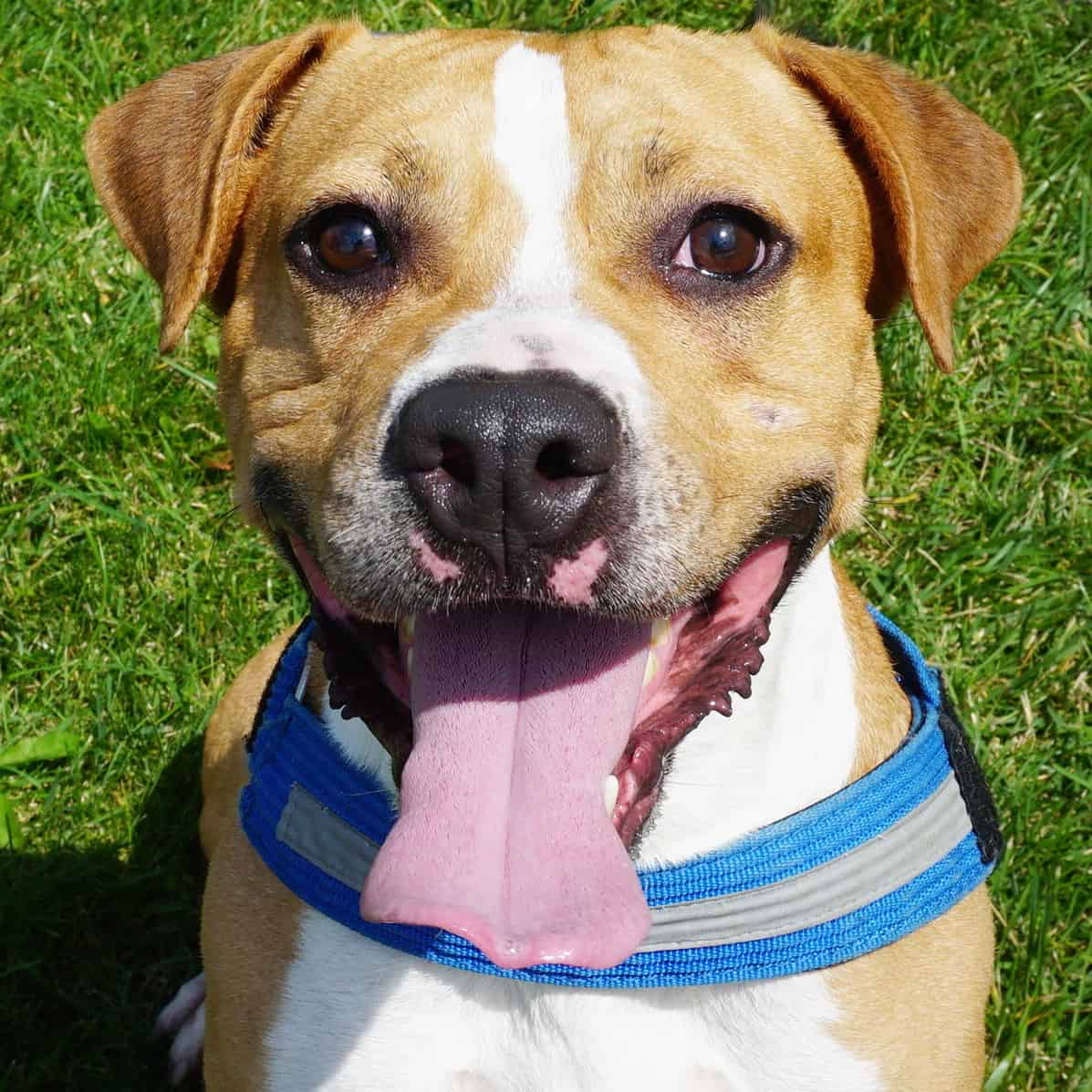 TierQuarTier Wien Startseite - TierQuarTier Wien