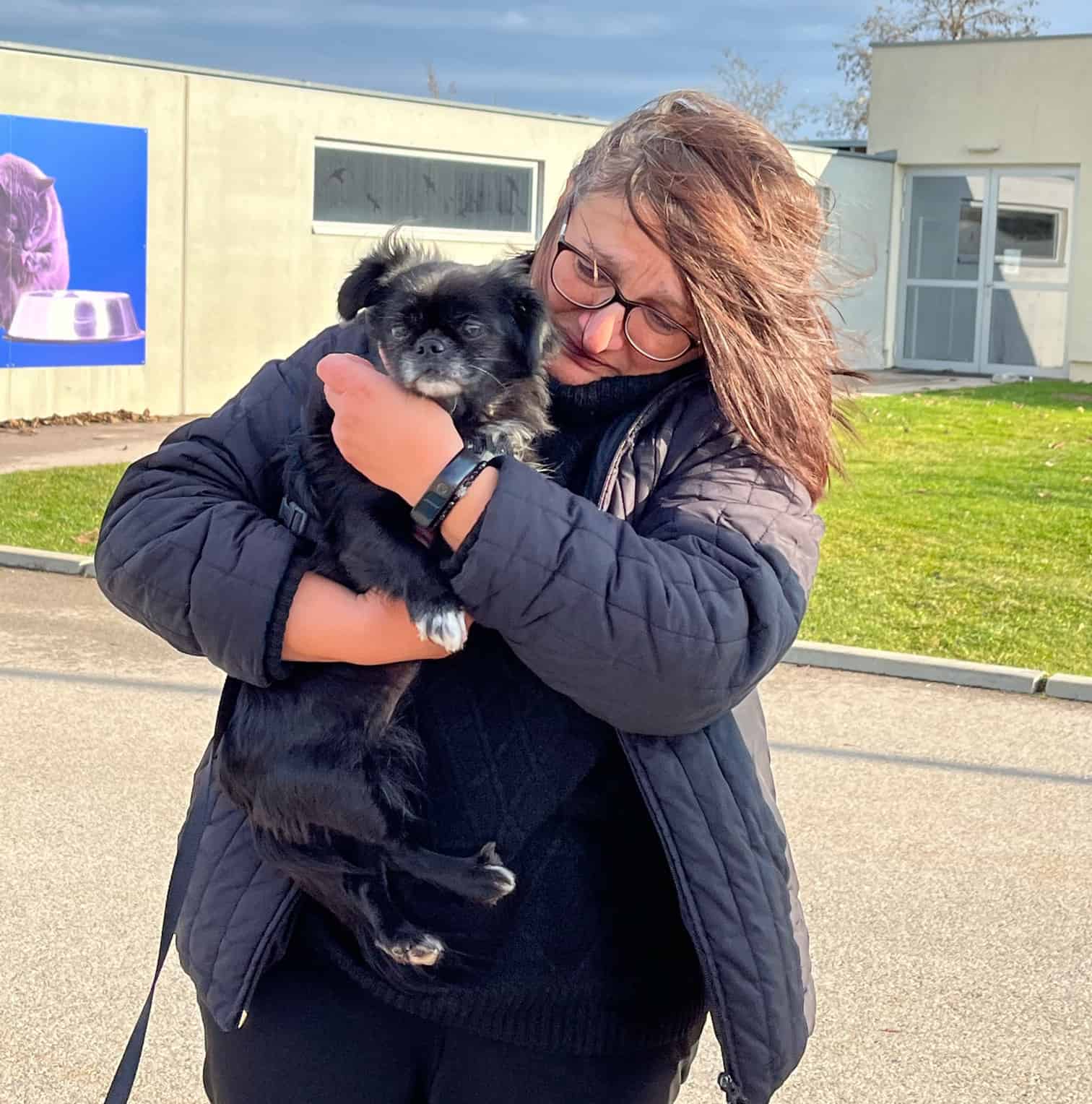 Gestohlener Hund nach sieben Jahren gefunden - TierQuarTier Wien Gestohlener Hund nach sieben Jahren gefunden - TierQuarTier Wien