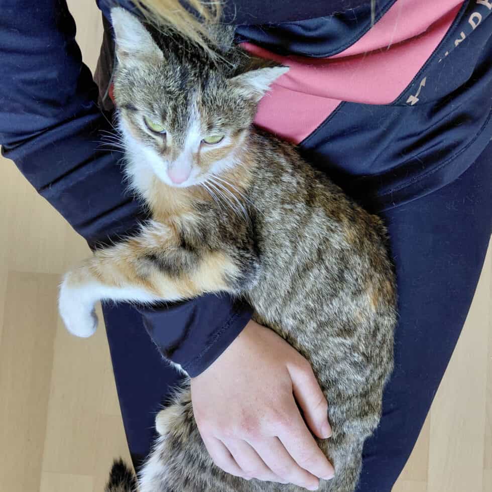 Minna (und Lizzie) - TierQuarTier Wien